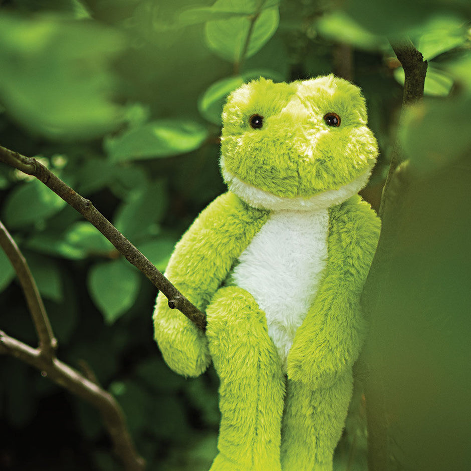 Plush Frog Stuffed Animal | Vermont Teddy Bear