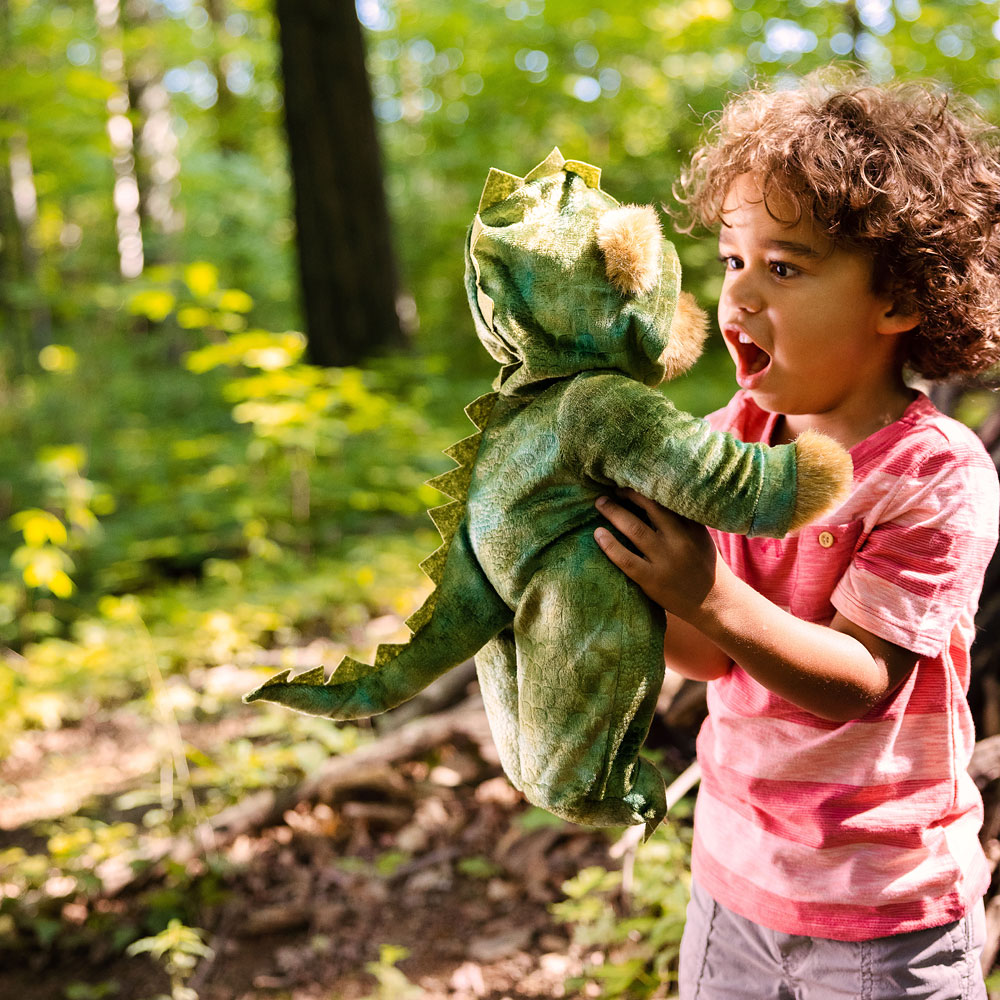 15 In. Dinosaur Bear – Vermont Teddy Bear